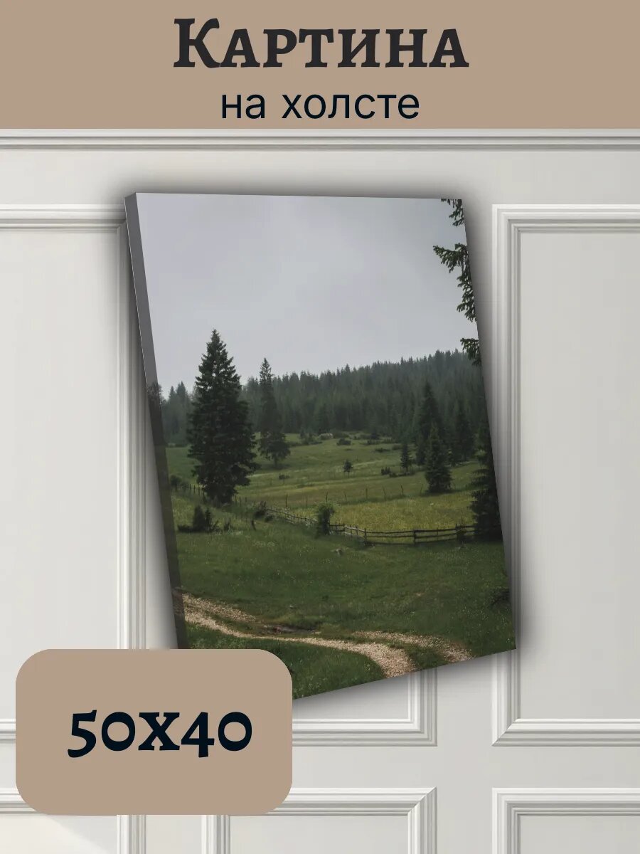 Картина Черногория Montenegro 40x50 горный пейзаж с лесом