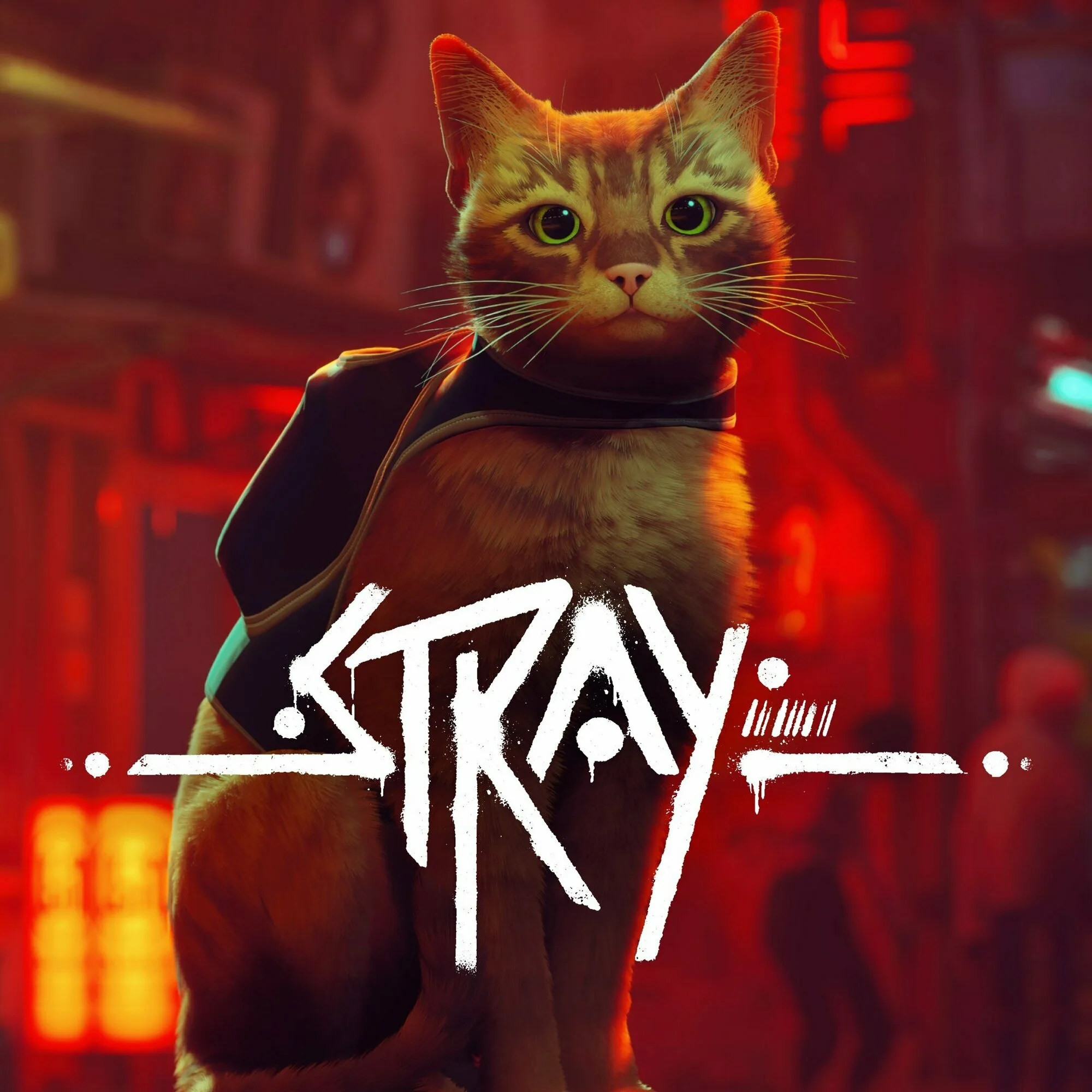 Stray Standard Edition XBOX ONE, SERIES X|S (Ключ, Цифровой код)