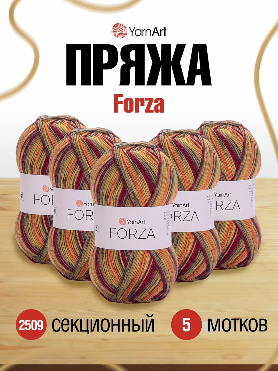 Пряжа для вязания YarnArt 'Forza' 100г, 420м (75% шерсть, 25% полиамид) (2509 секционный), 5 мотков