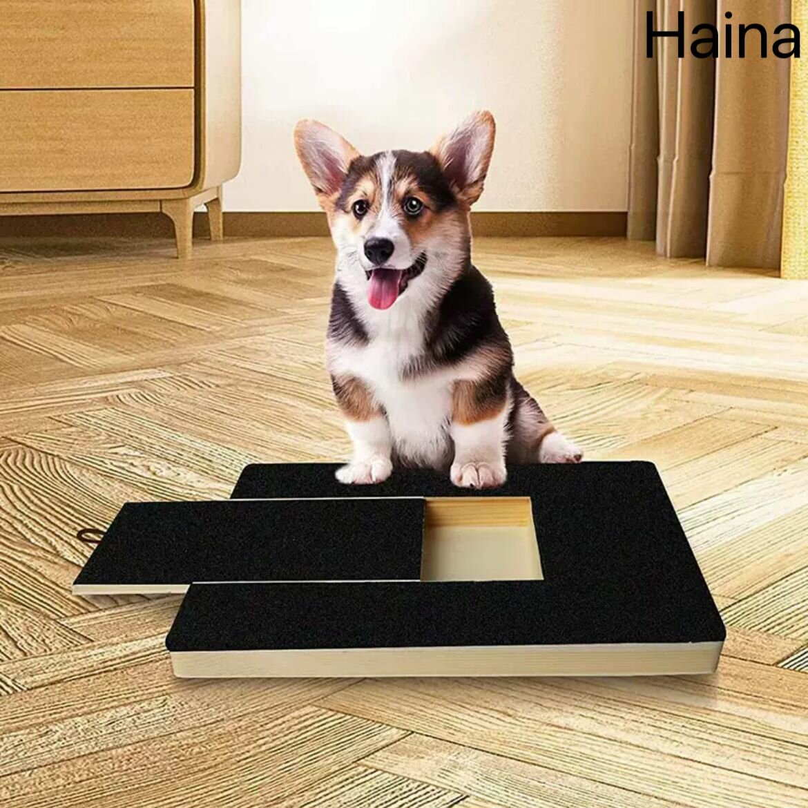 Когтеточка для собак, когтеточка