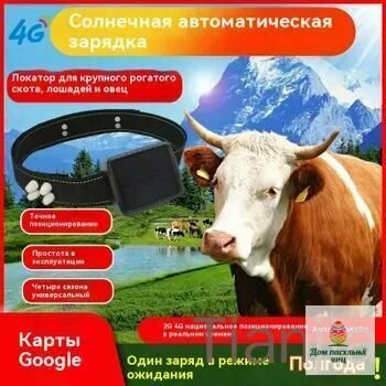 Солнечный трекер местоположения животных крупного рогатого скота, овец и лошадей 4G водонепроницаемый
