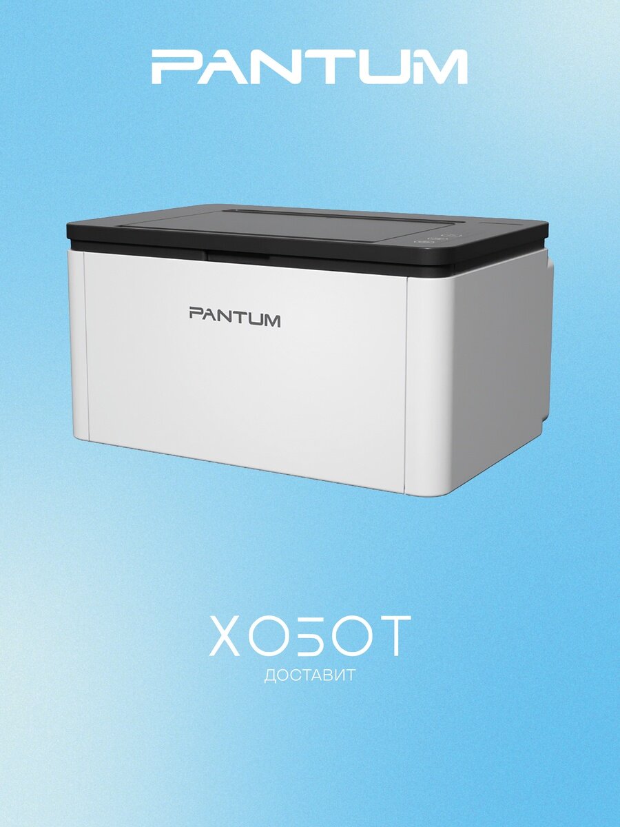 Принтер Pantum BP1800