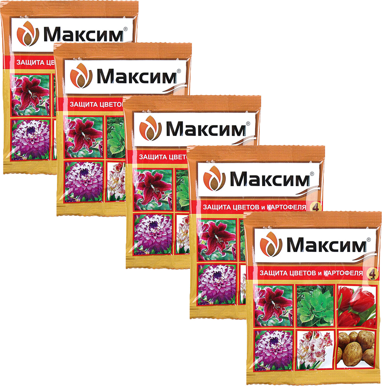 Максим, средство для защиты луковичных растений и семенного картофеля от болезней, 4 мл х 5 шт