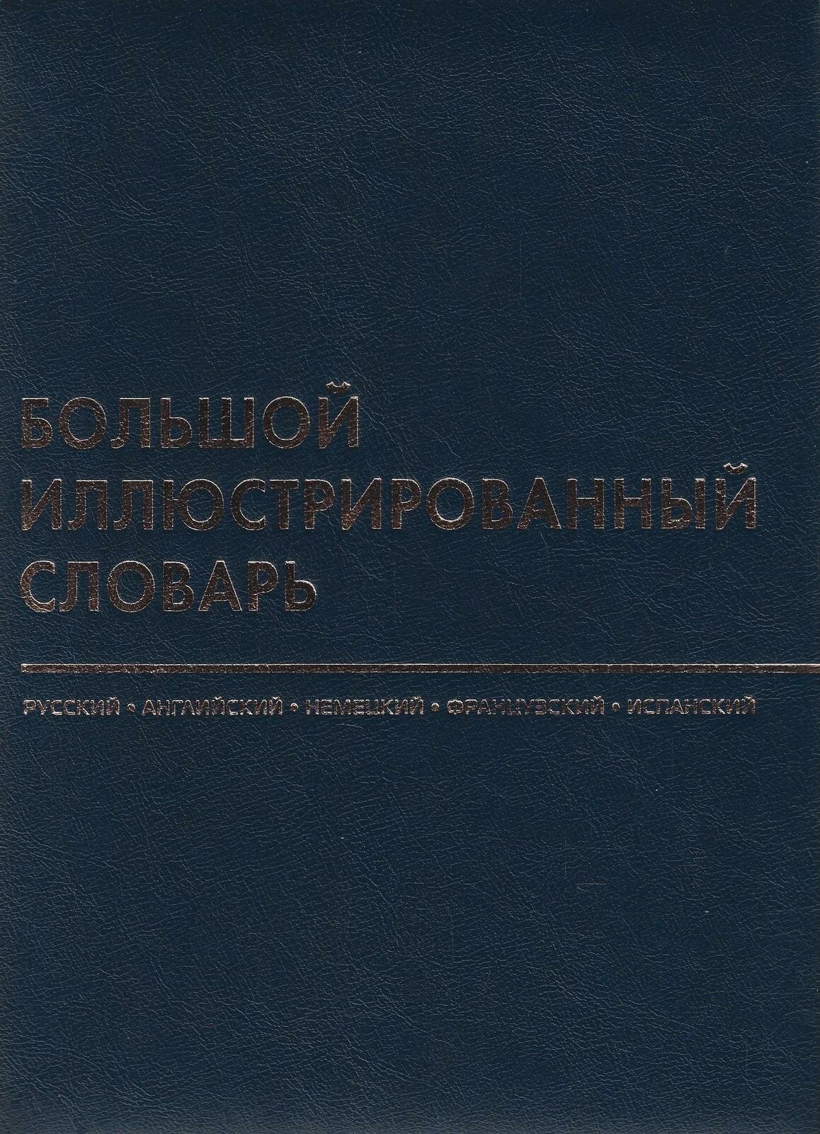Большой иллюстрированный словарь. Русский. Английский. Немецкий. Французский. Испанский
