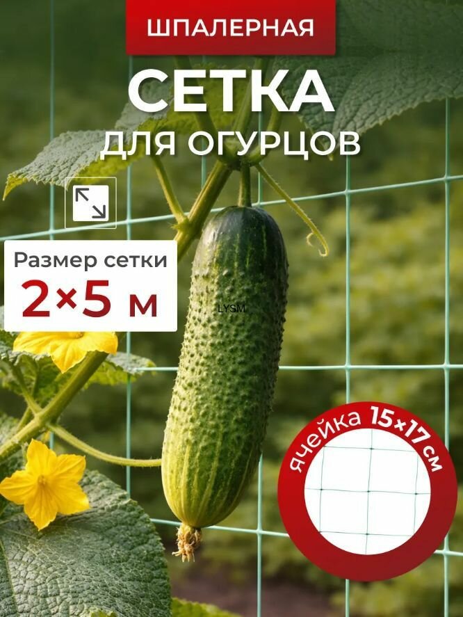 Сетка садовая шпалерная, Полиэтилен,5х2м