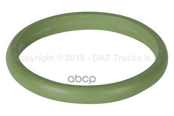 Уплотнительное кольцо DAF арт. 1608394