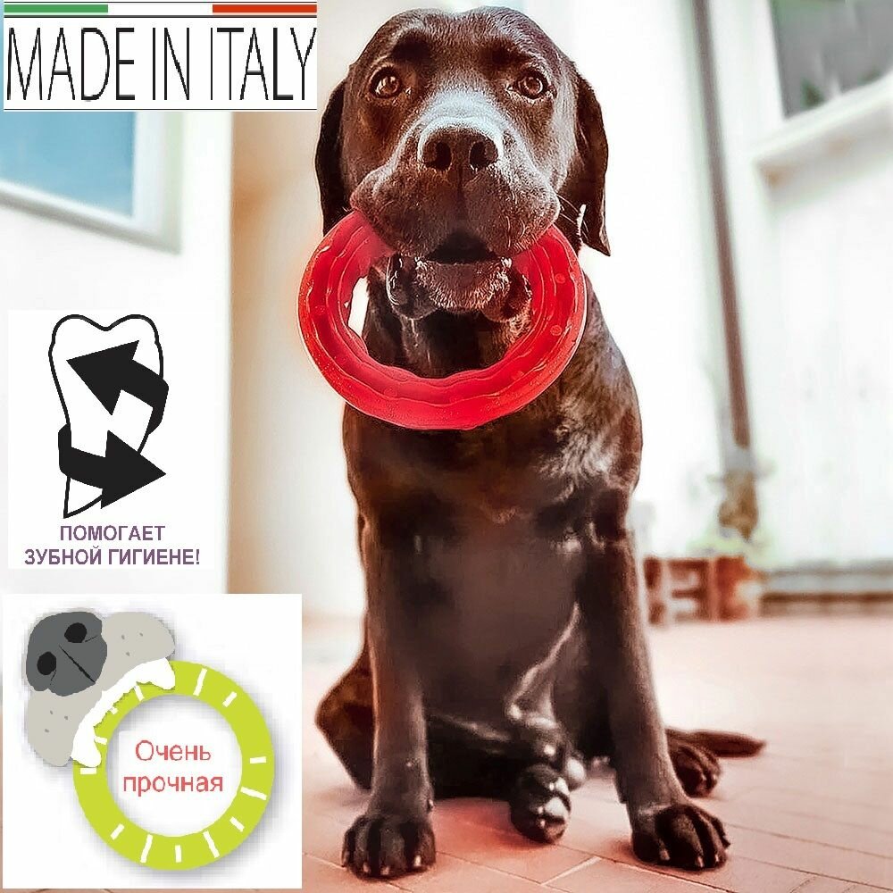 Игрушка для собак стоматологическая Ferplast SMILE L, термопластичный полиуретан, с ароматом мяса, 20 см (Италия)