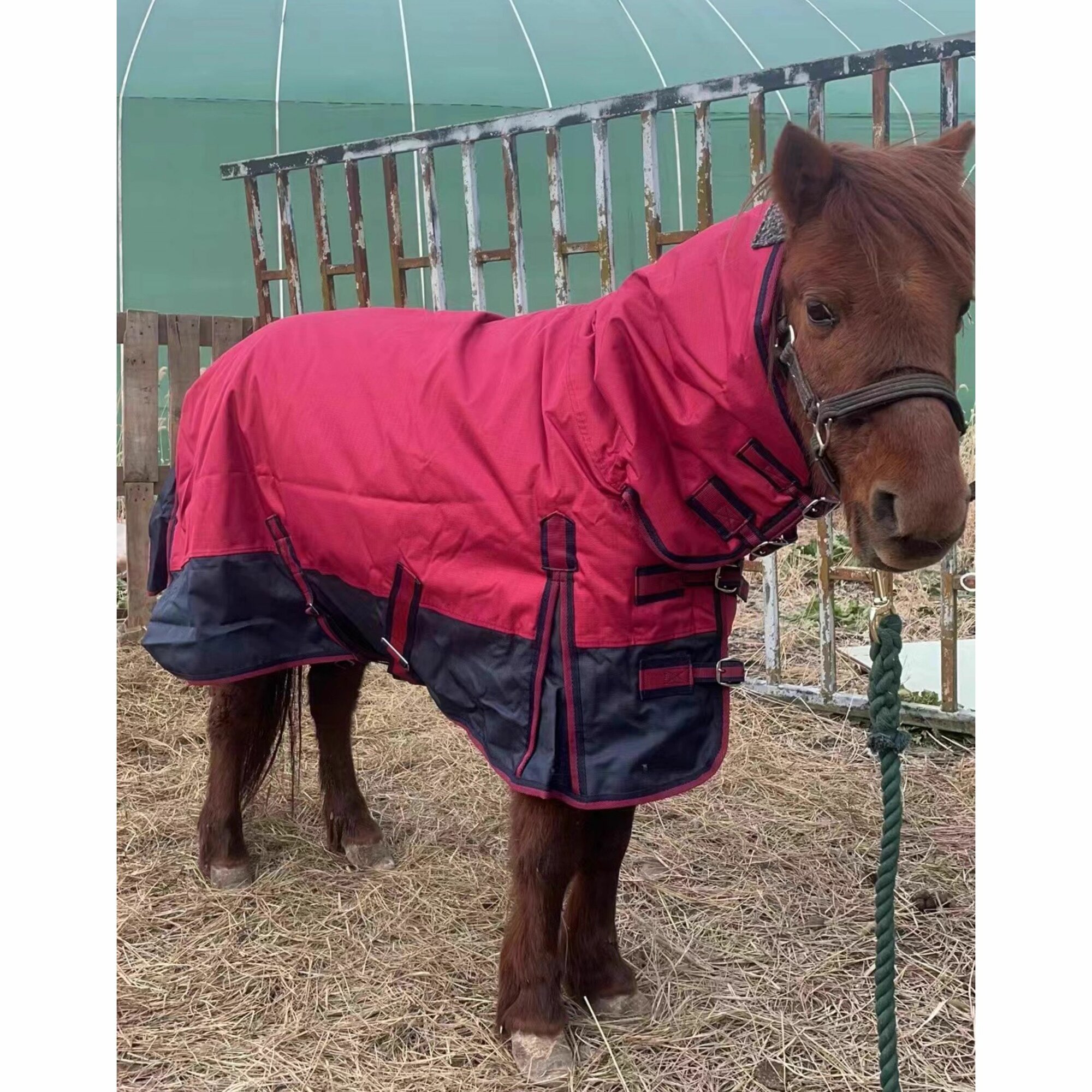 Попона для пони с пришитым капором, 600D водонепроницаемый с хлопком, размер 90 см