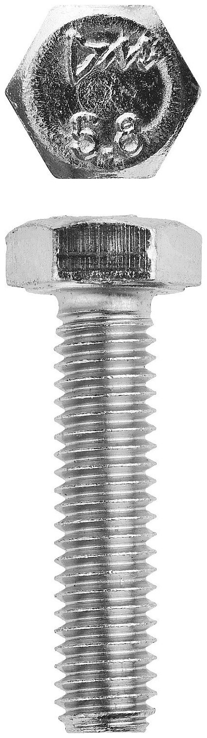 Болт ГОСТ 7798-70, M6 x 30 мм, 5 кг, кл. пр. 5.8, оцинкованный, ЗУБР