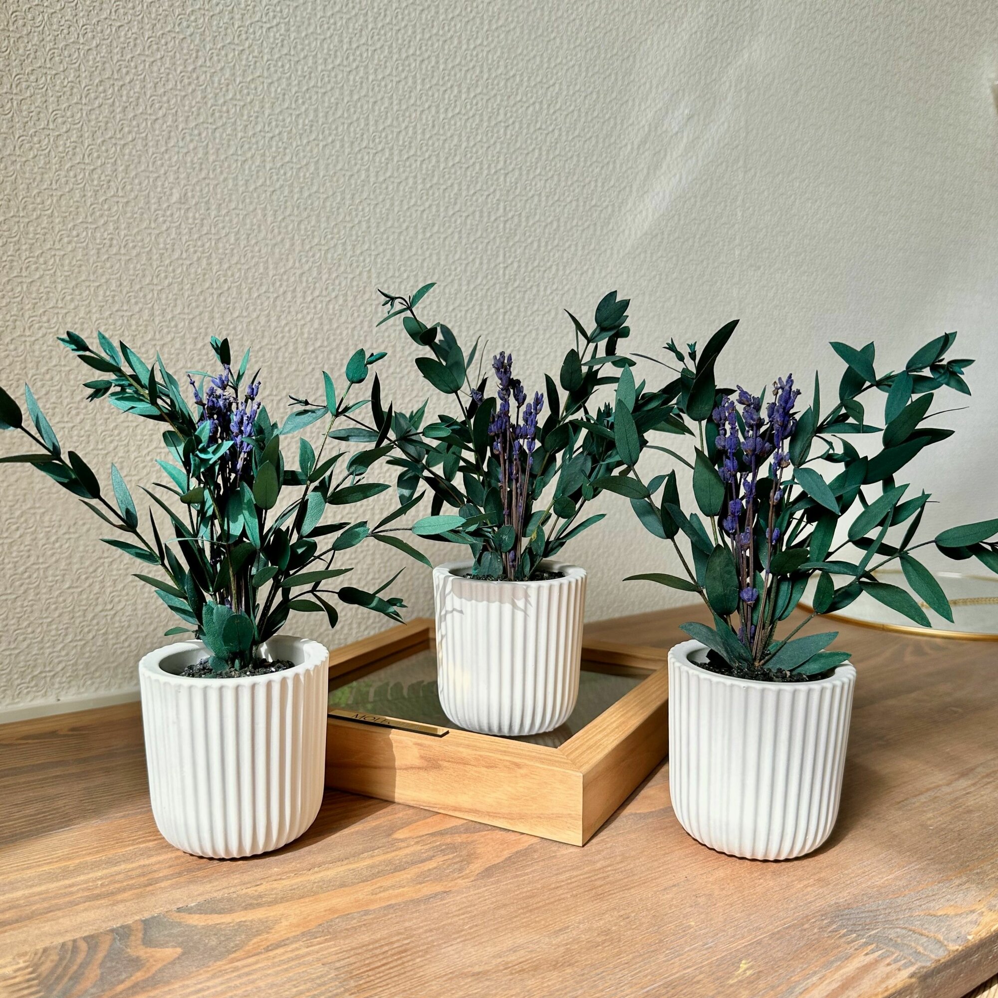 Набор ваз 3 шт из гипса с стабилизированными растениями эвкалипт с лавандой для цветов сухоцветов настольный на подставке Molecula Decor