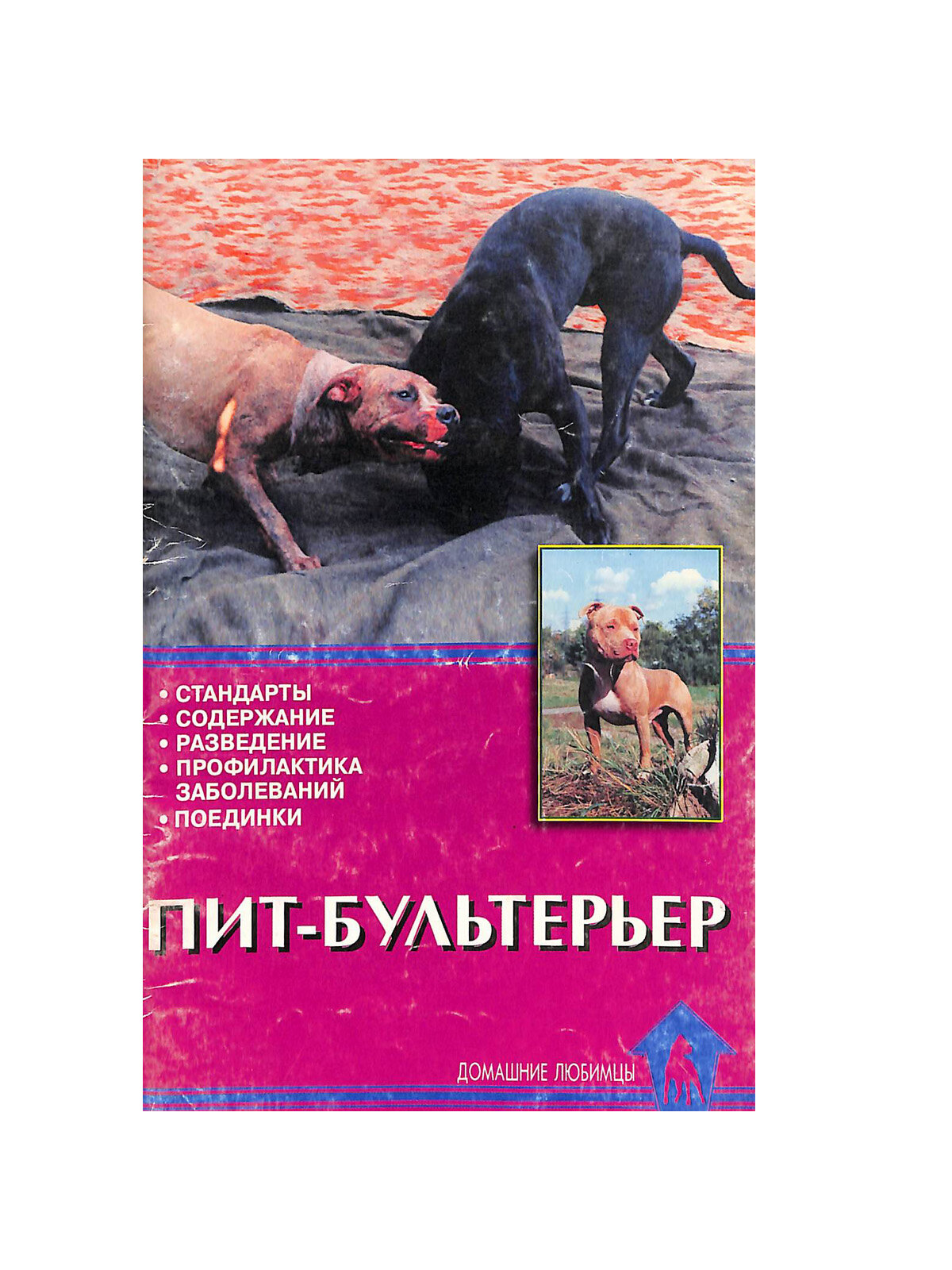 Пит-бультерьер. Стандарты. Содержание. Разведение