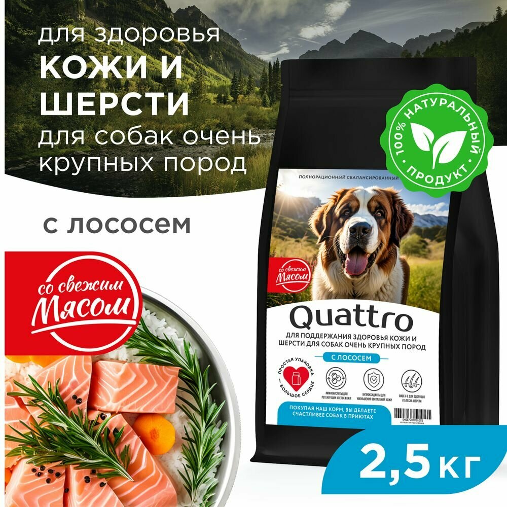 Корм сухой для взрослых собак очень крупных пород, премиум полнорационный комплекс, здоровье кожи и шерсти, с лососем, 2,5 кг, QUATTRO