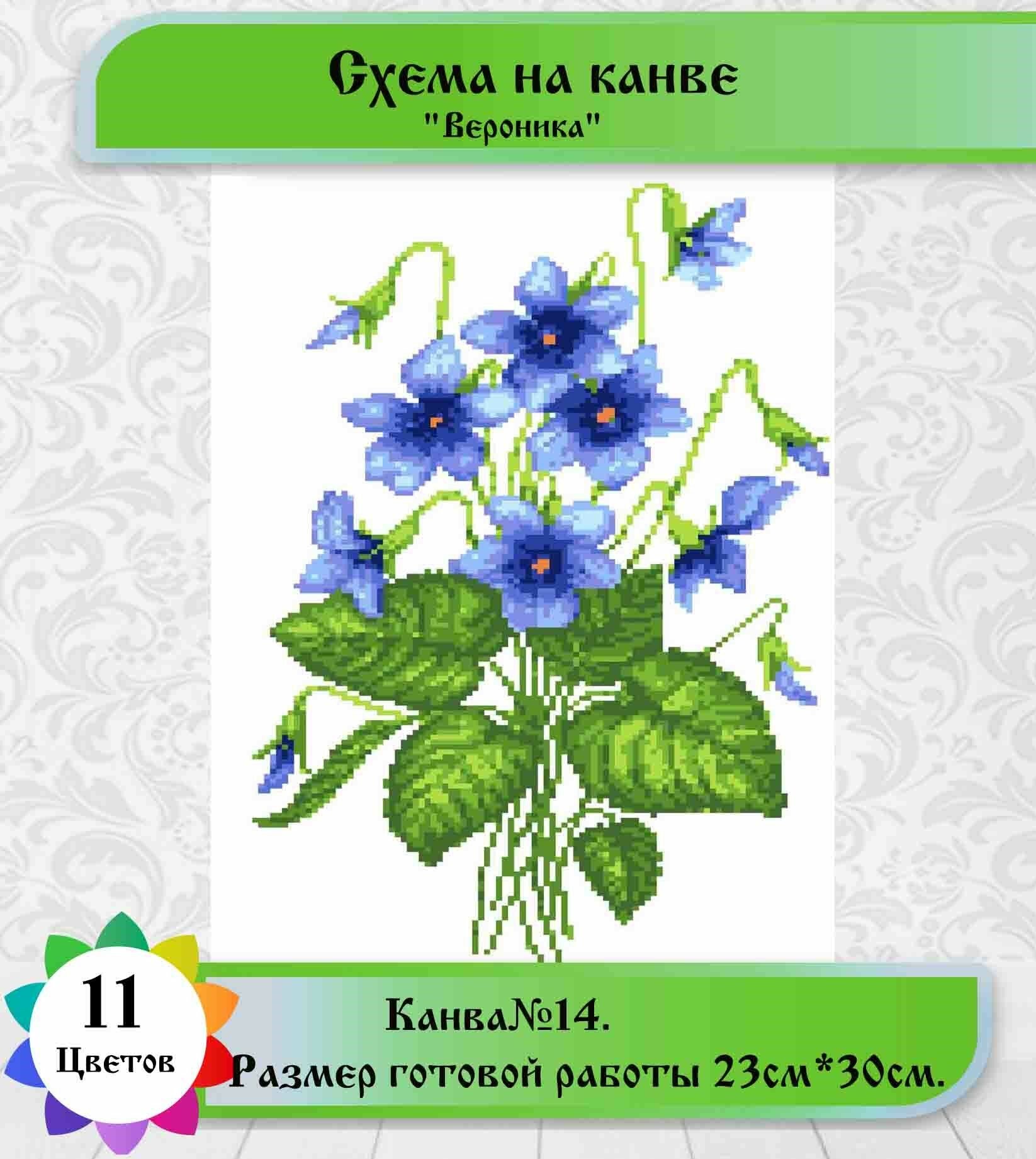 Канва с нанесенным рисунком14 для вышивки Каролинка "Вероника"/нитками не комплектуется/