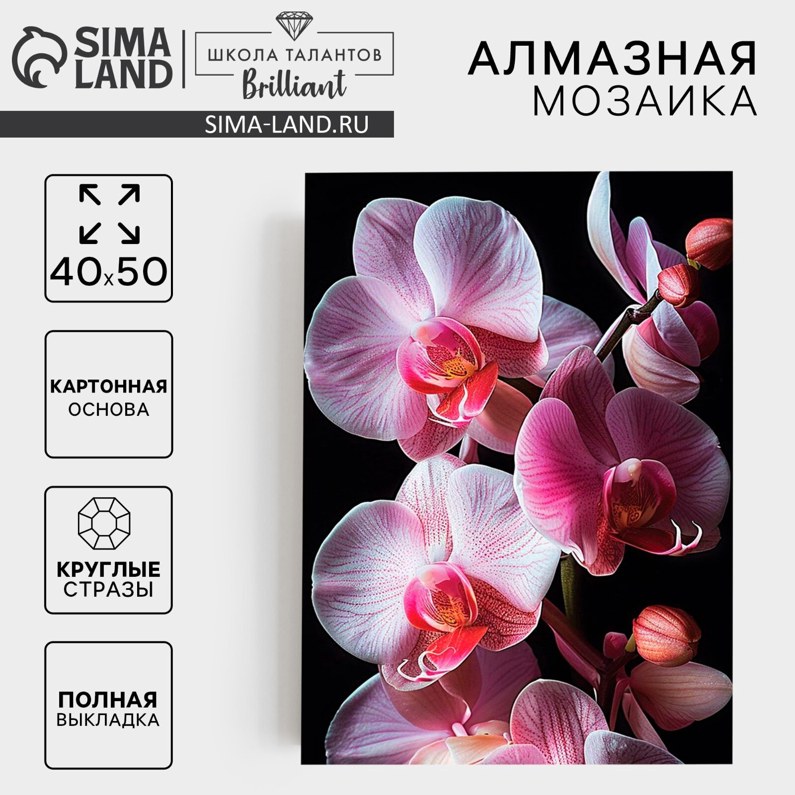 Алмазная мозаика с полным заполнением на холсте «Орхидеи», 40×50 см