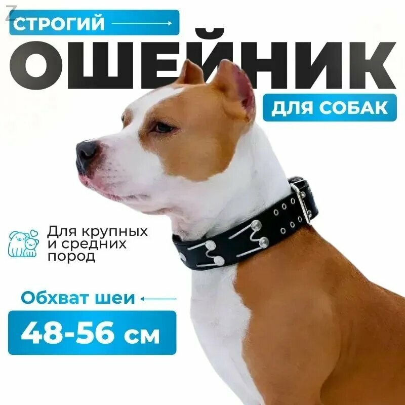 Кожаный ошейник, строгий с шипами, черный, для средних пород собак