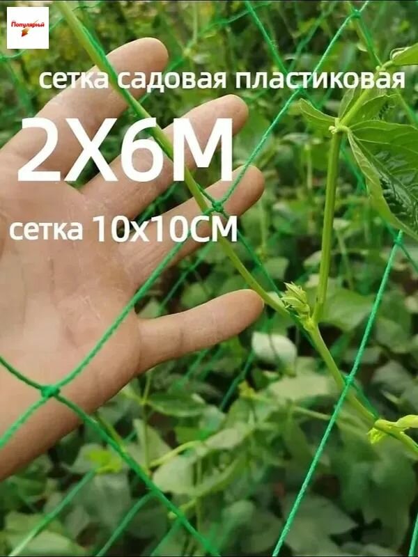 Сетка садовая, Пластик,6х2м