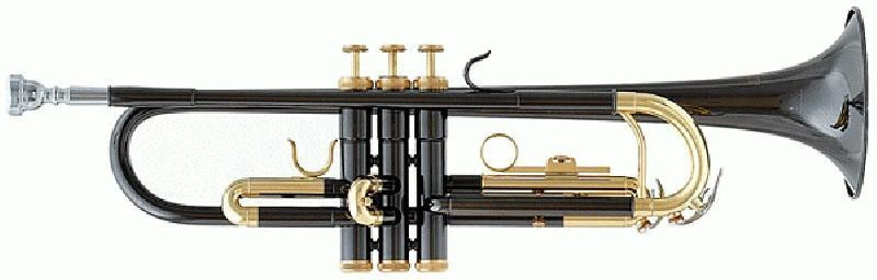 ROY BENSON TR-101K Bb- труба (Цвет черн-золото)