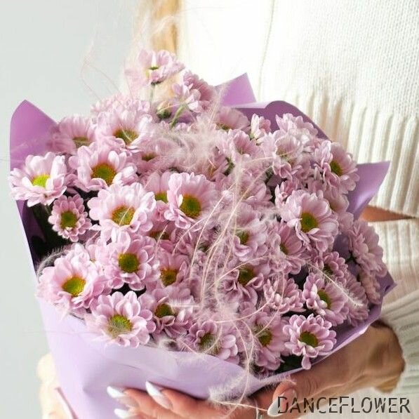 Монобукет из розово-сиреневой сантини ромашки и воздушного ковыля