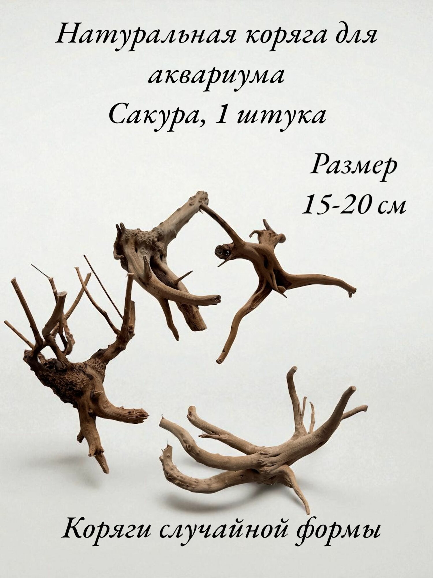 Декорация коряга дерево сакура для аквариума 15-20 см