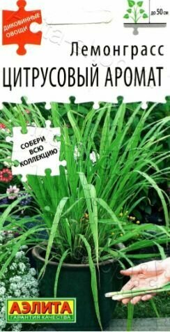 Лемонграсс Цитрусовый аромат ( 3 упаковки ), семена