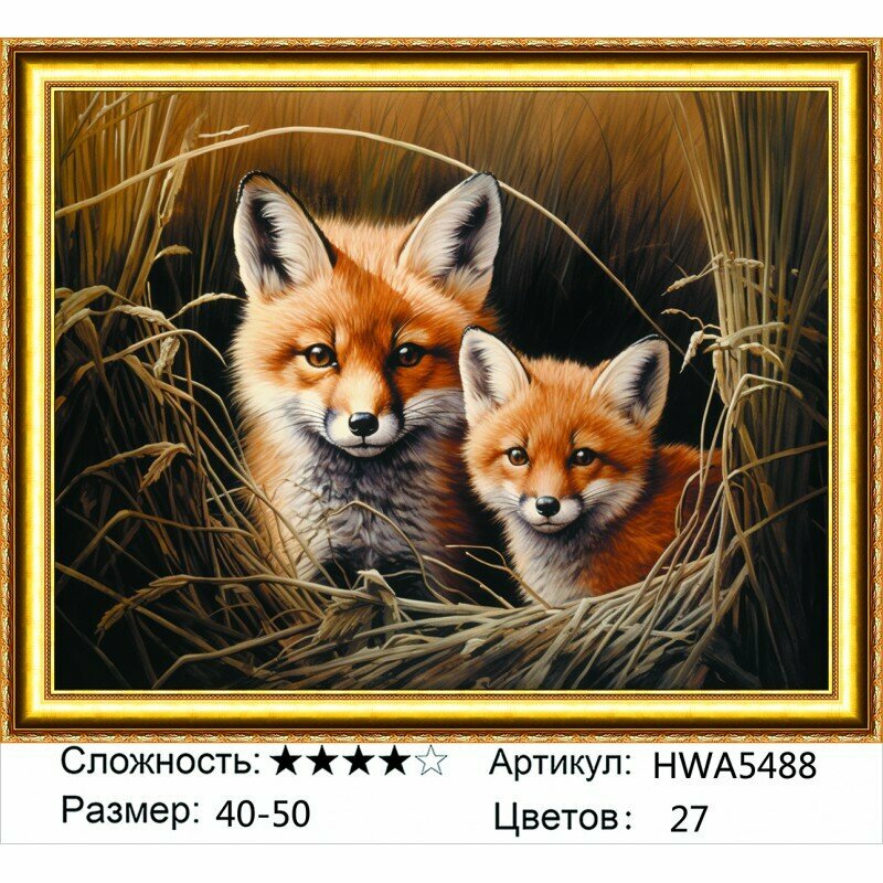 Алмазная мозаика Painting Diamond HWA5488, холст на подрамнике, круглые стразы, 40x50 см