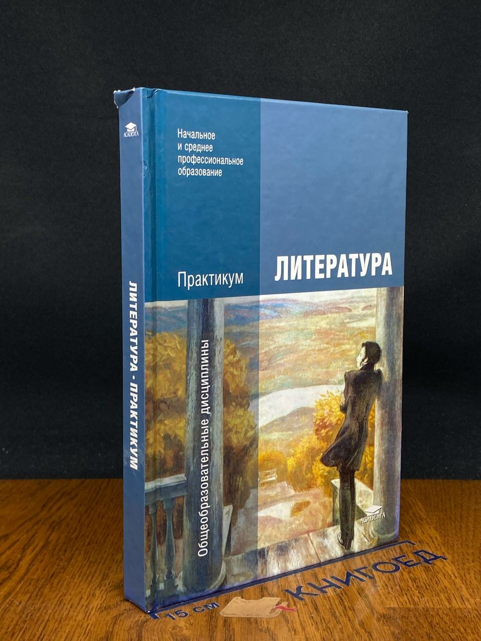 Книга. (Штамп) Литература. Практикум 2013 (2041716176816)