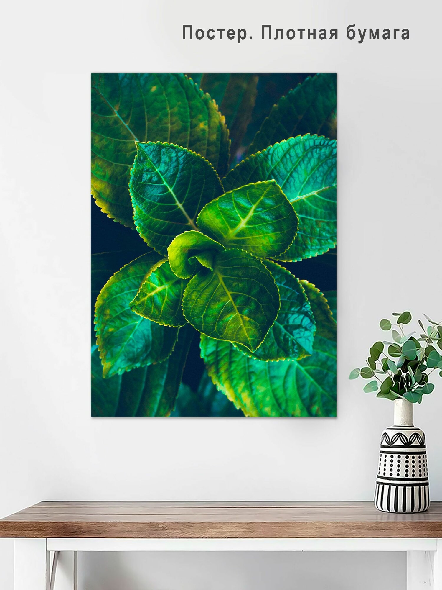 Постер, плакат Лист гортензии 30х40см