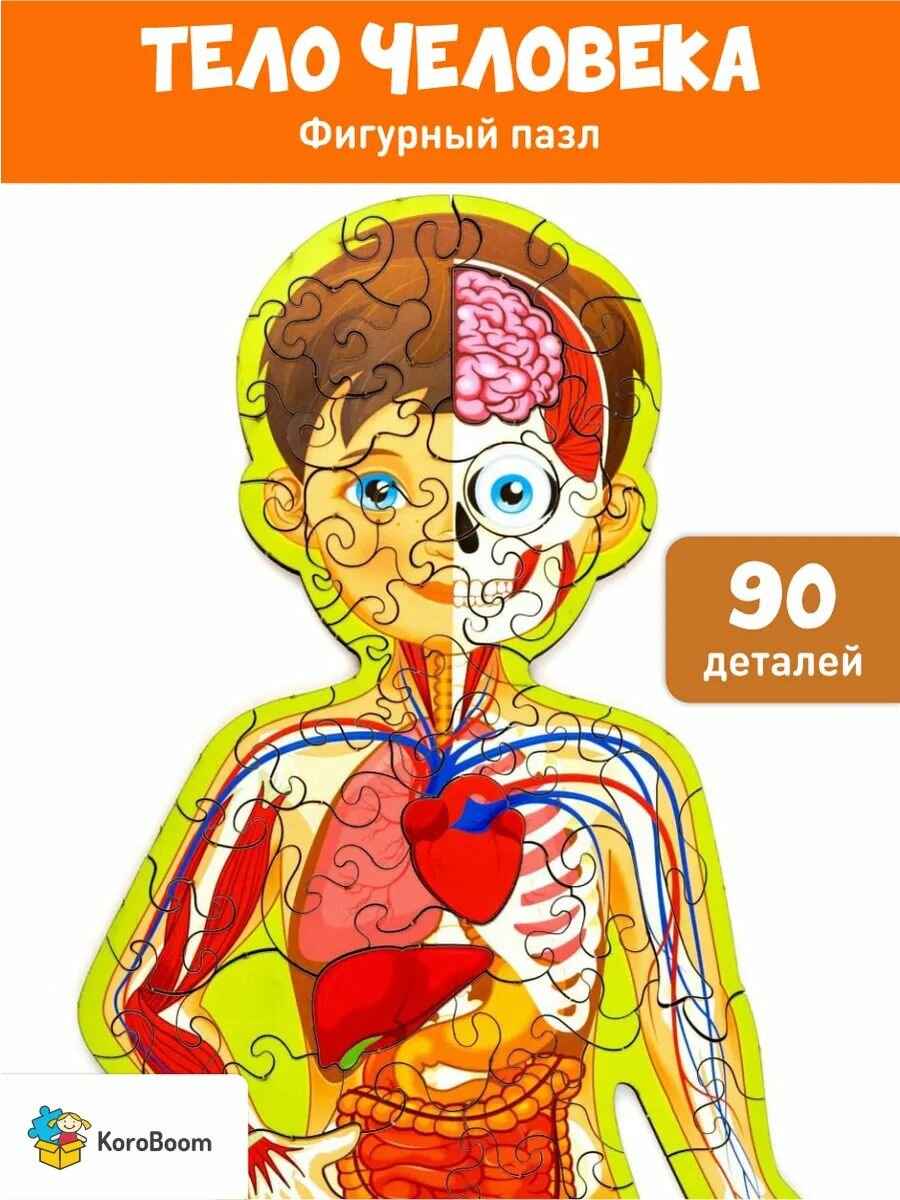 Деревянный фигурный пазл-головоломка KoroBoom "Строение тела человека", анатомия для детей, 90 уникальных деталей мозаики