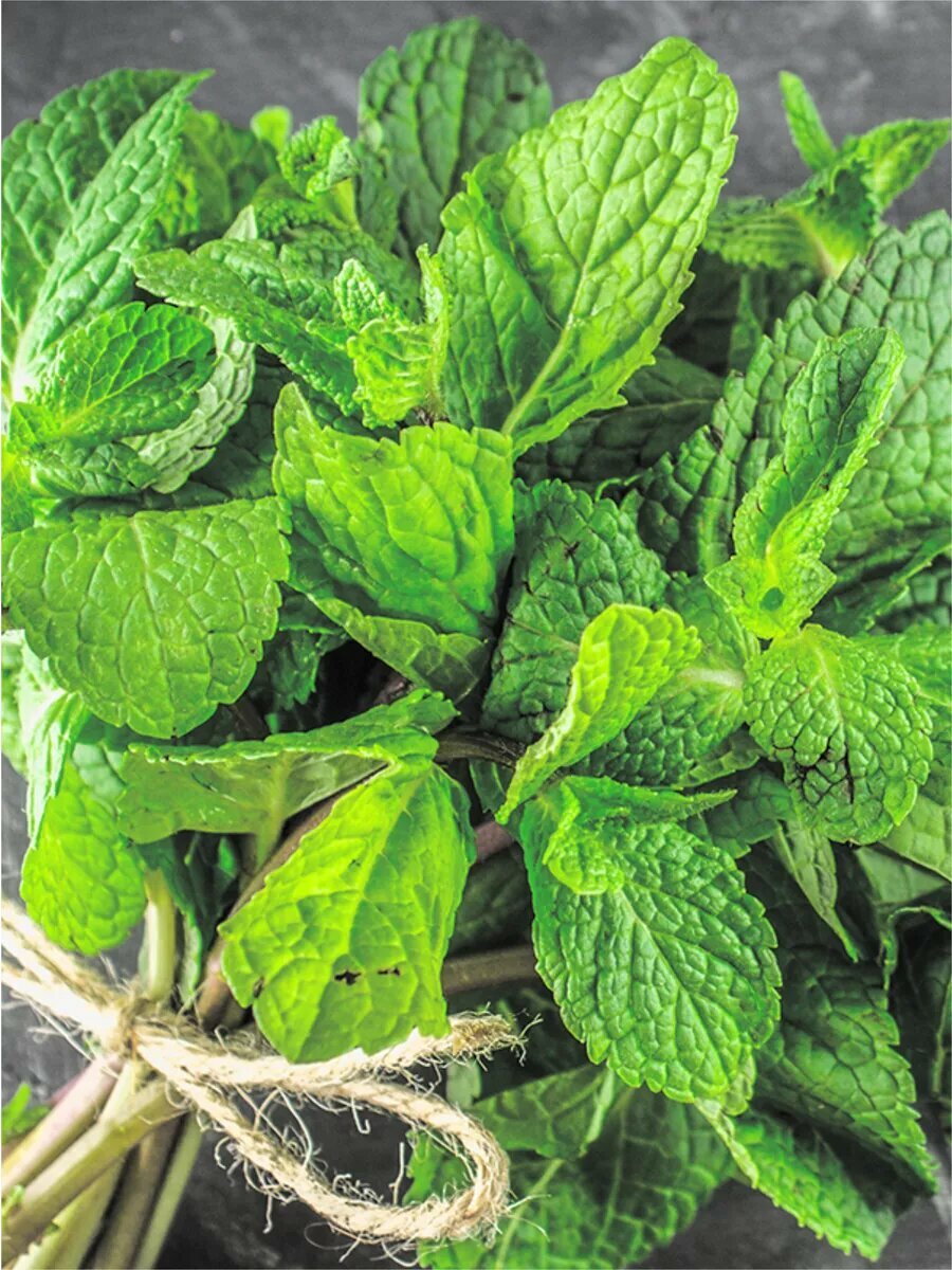 Семена Мята Перечная Пепперминт