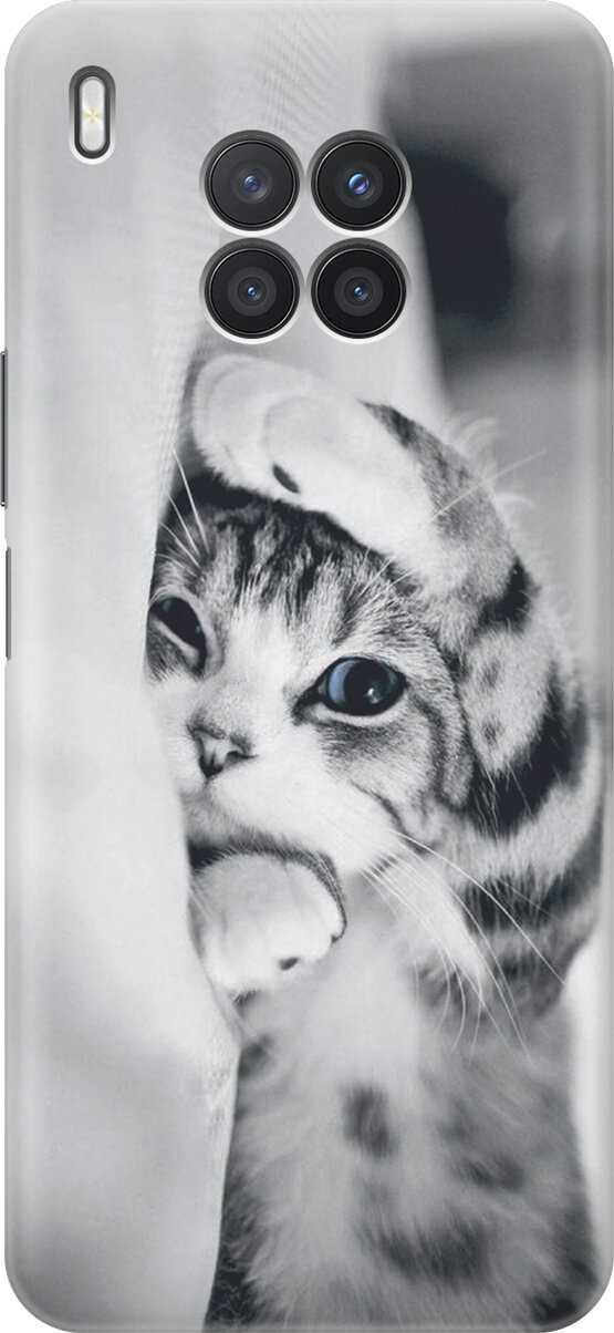 Силиконовый чехол Игривый котенок на Honor 50 Lite / Huawei Nova 8i / Хонор 50 Лайт / Хуавей Нова 8и
