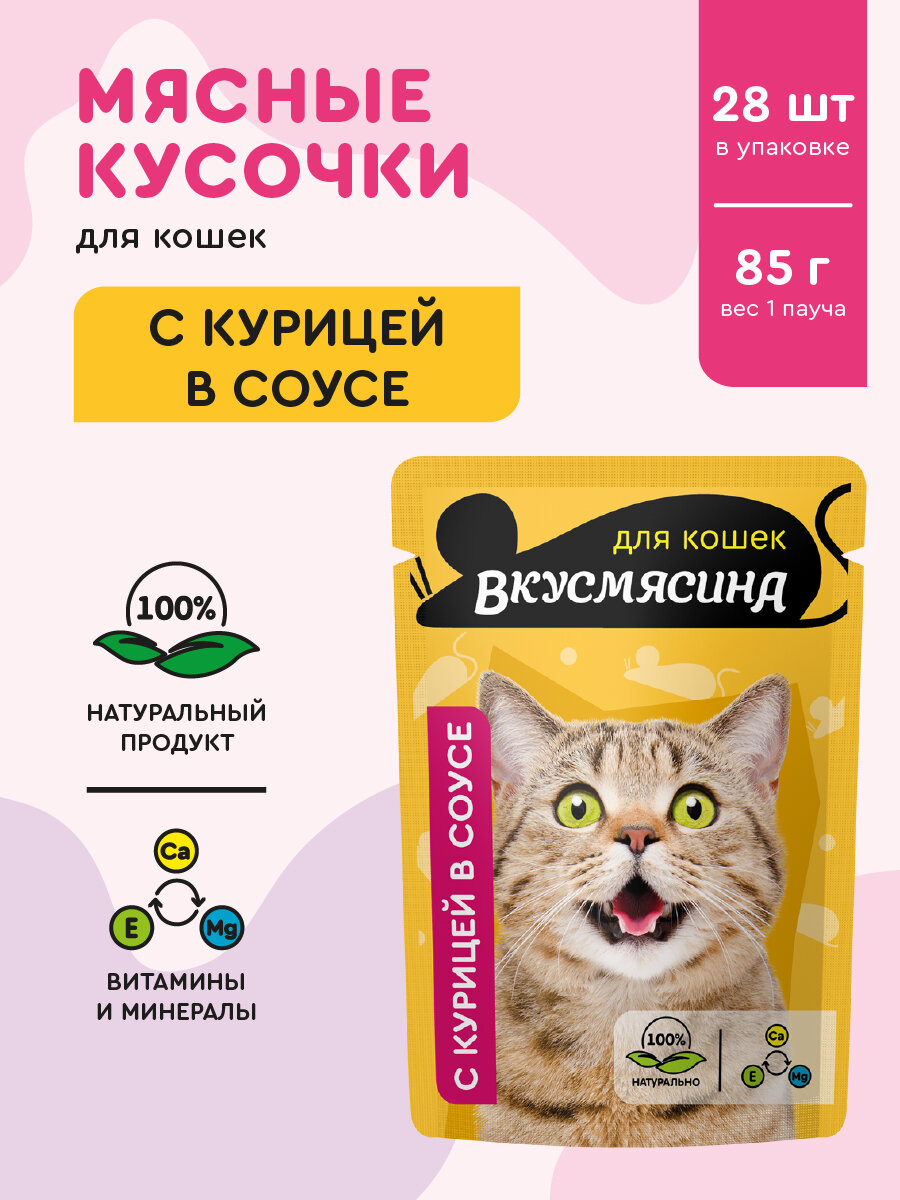 Корм влажный для кошек вкусмясина "Кусочки с курицей в соусе" (пауч), 85 г х 28 шт.