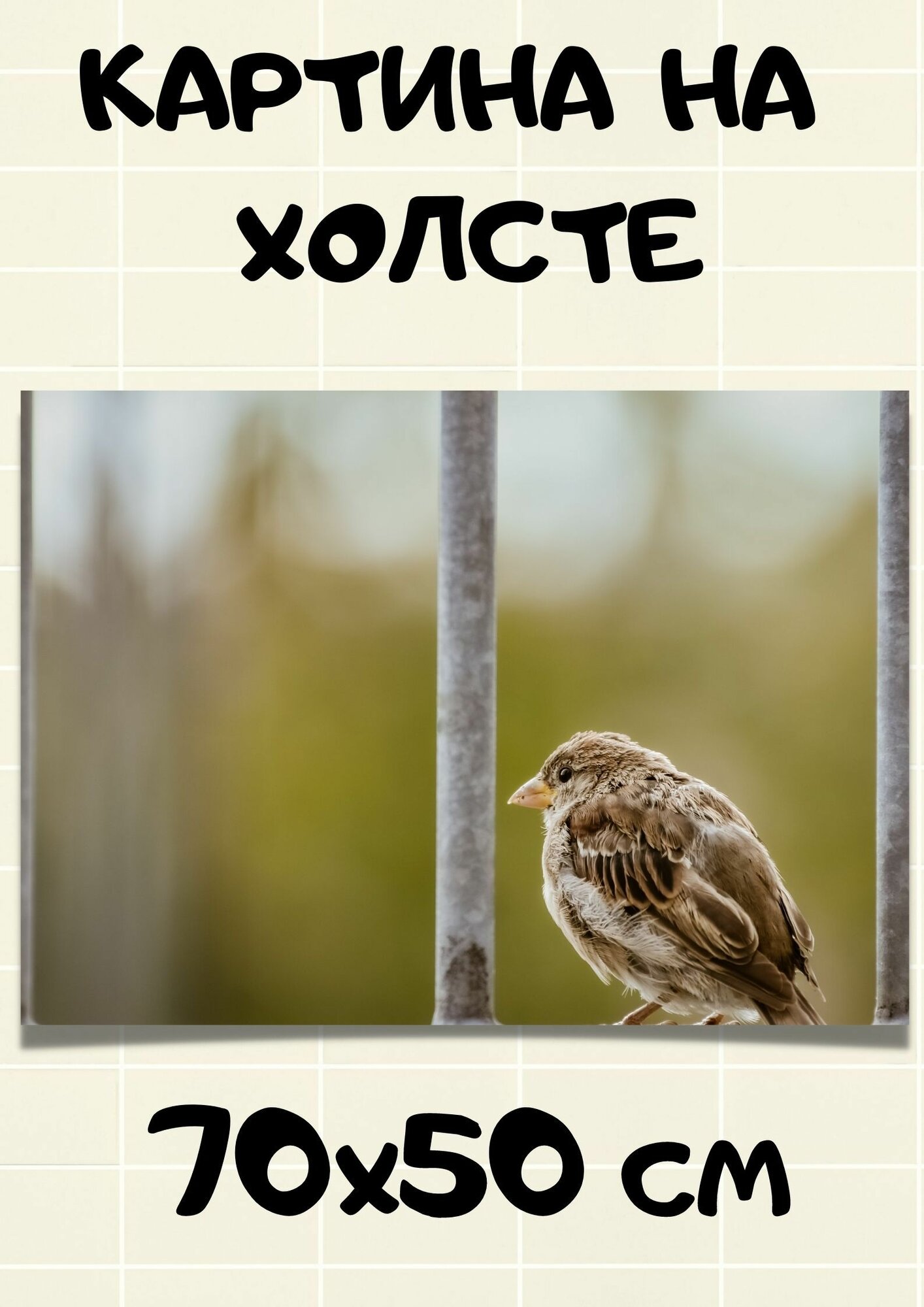 Картина с птицами "Воробей на подоконнике" 70х50 см холст