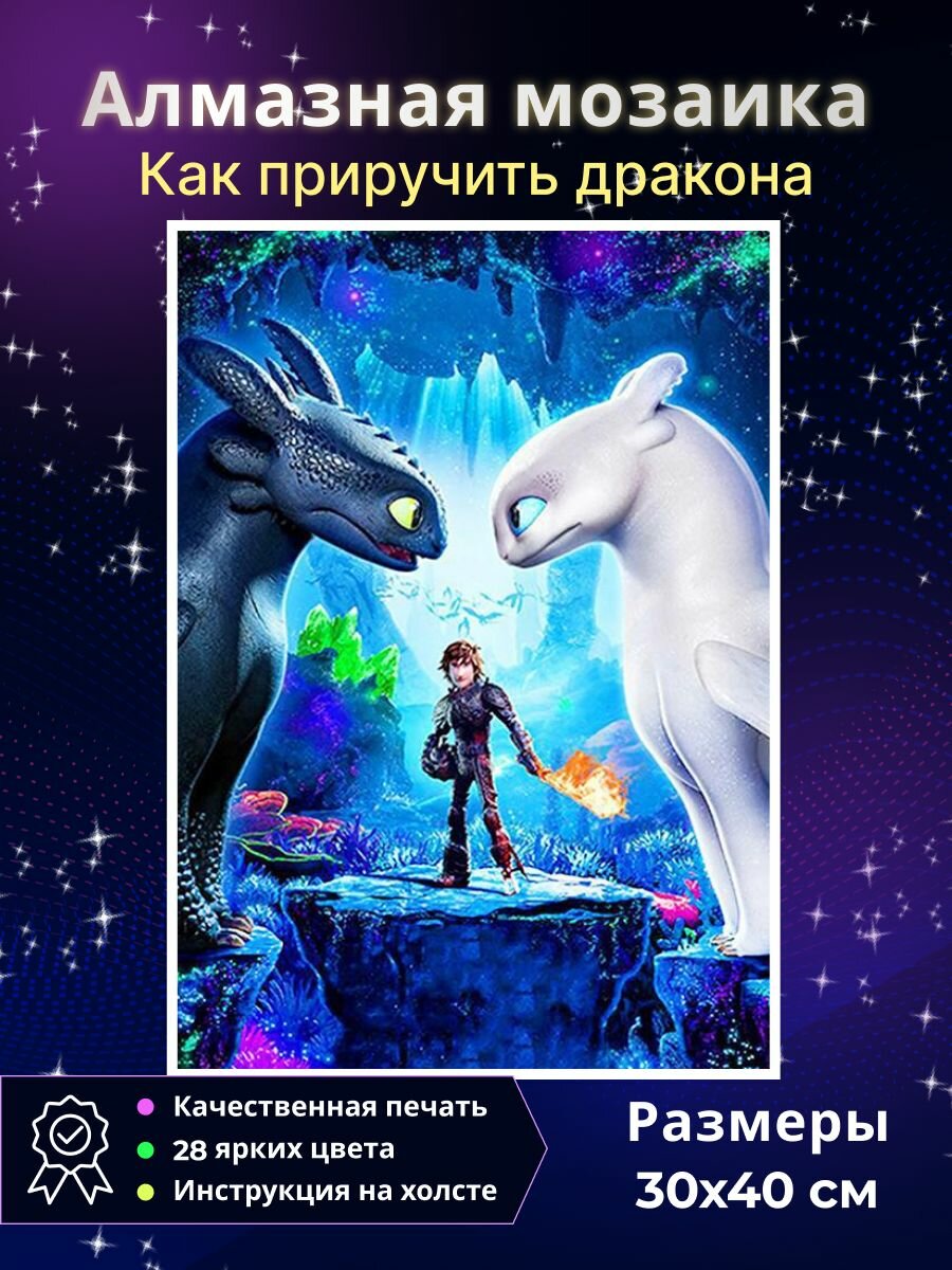 Алмазная мозаика 30x40 см | Как приручить дракона | Беззубик и Иккинг | Для детей