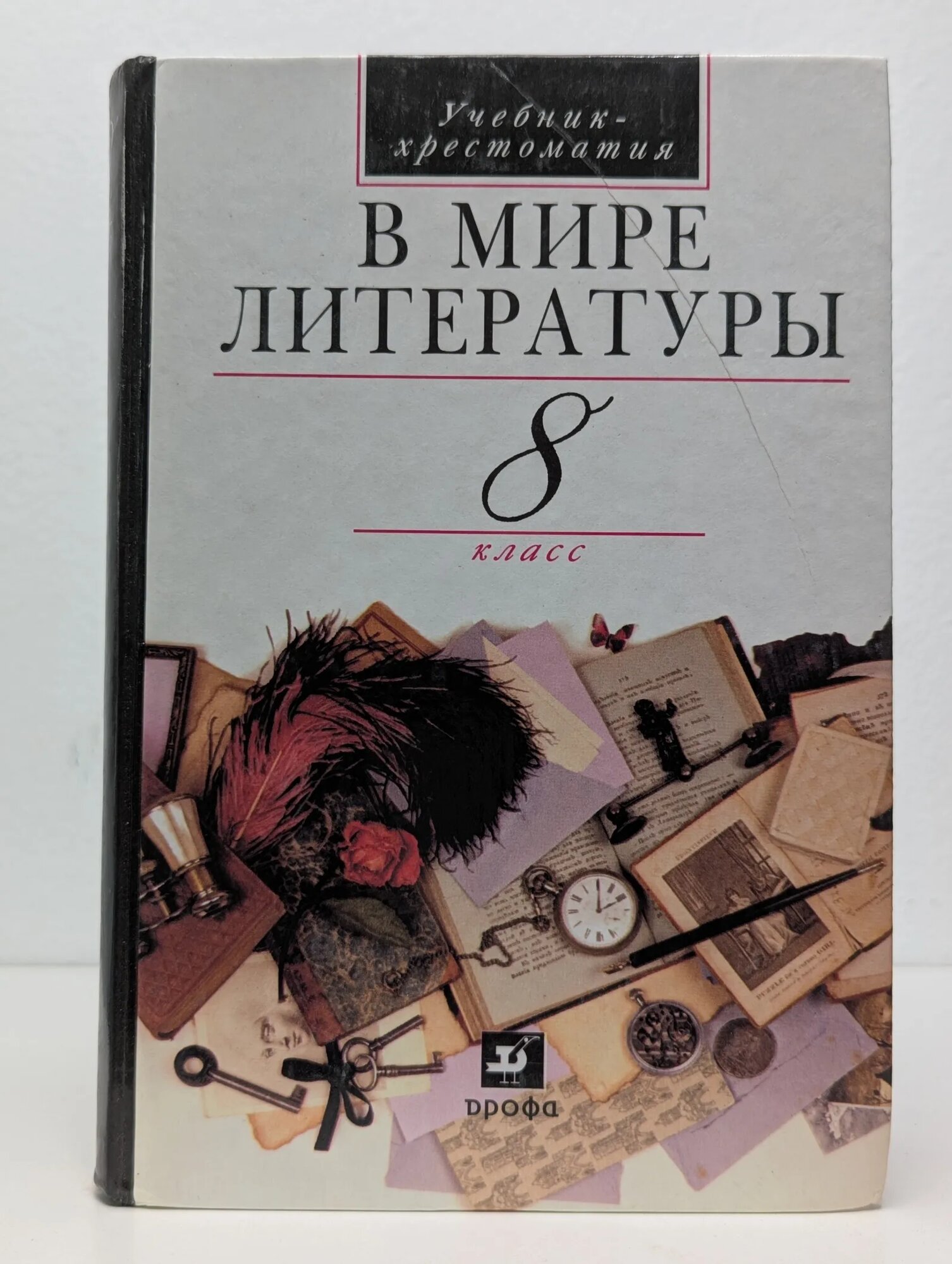 В мире литературы. 8 класс. Учебник-хрестоматия Романичева Елена Станиславовна, Кутузов Александр Геннадиевич, Киселев Александр Константинович, Леденева Виктория Владимировна, Колосс Леонид Владимирович 2002