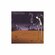 Диск Robin Overall - Shadowlands (1 CD)