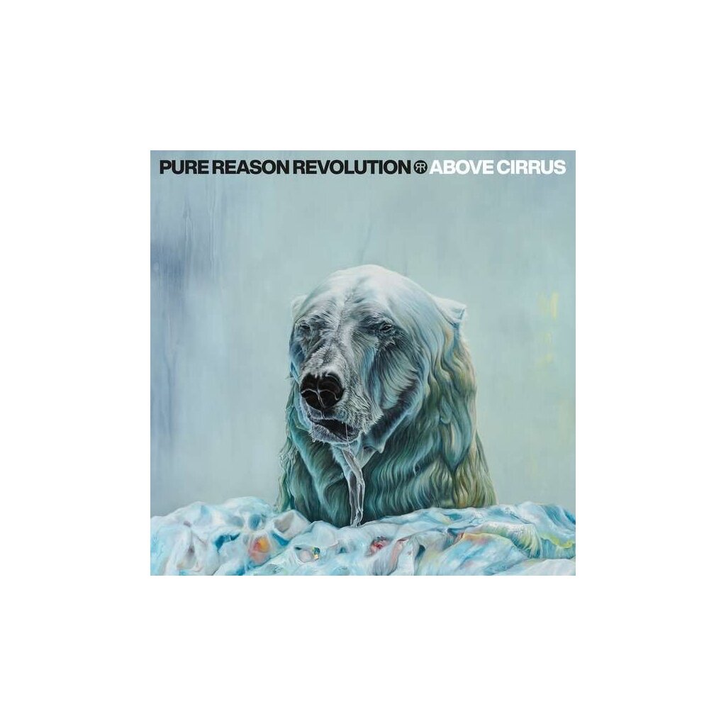 Виниловая пластинка Pure Reason Revolution - Above Cirrus (2 LP)
