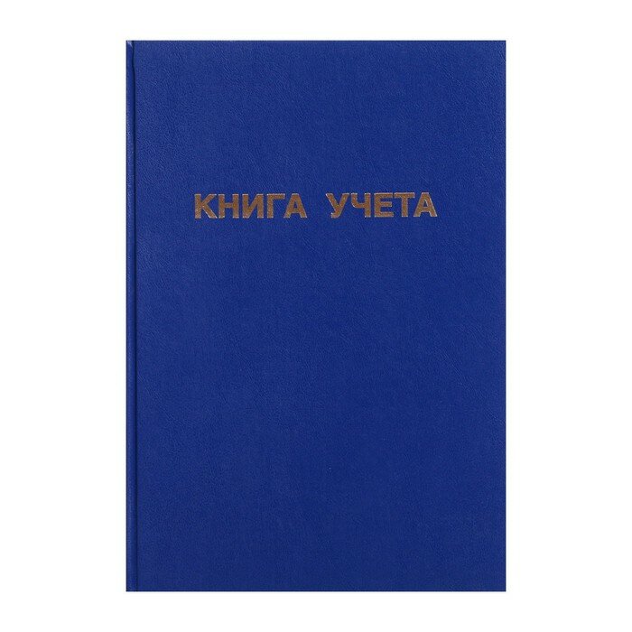Книга учета, 192 листа, обложка бумвинил, блок газетный, клетка, цвет синий, 9563364