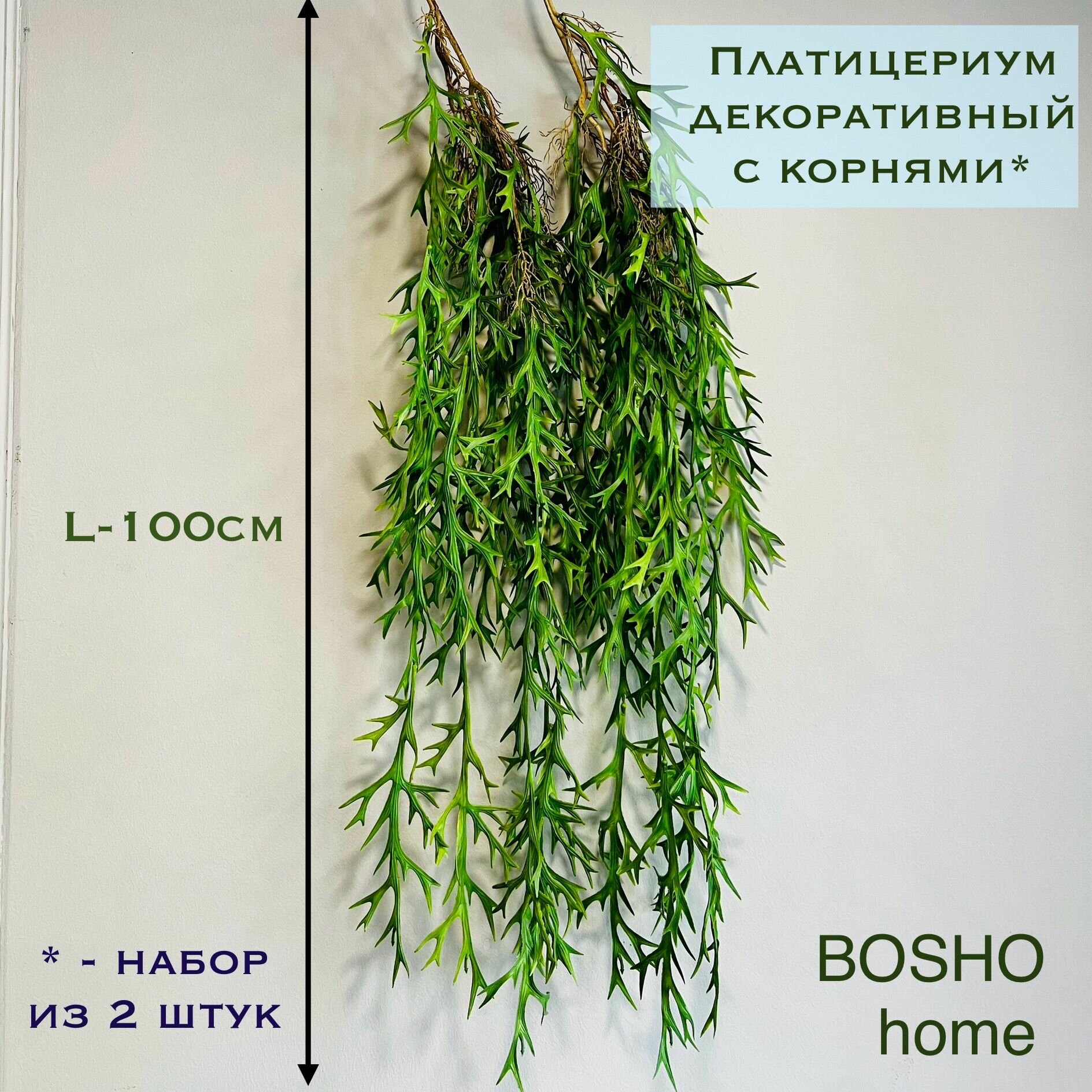 Лиана платицериум Green Premium для декора с корнями длиной 100 см, набор из 2 штук
