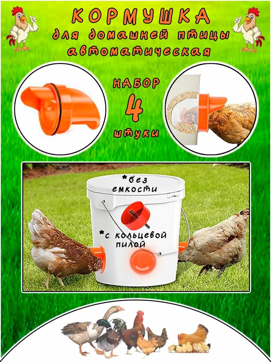 Кормушка с автоматической подачей корма для домашней птицы 4 штуки в наборе, с кольцевой пилой, оранжевый