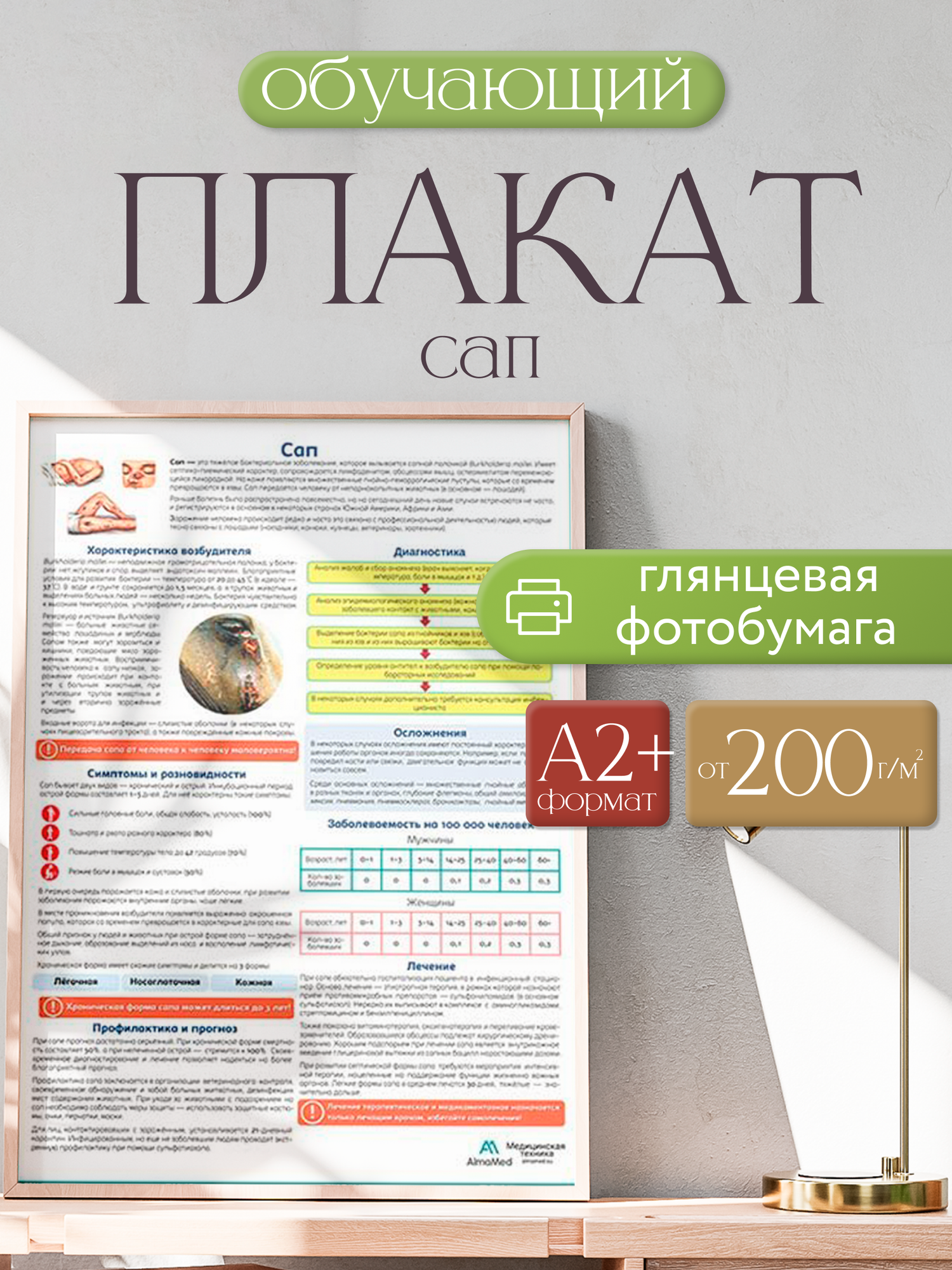 Сап медицинский плакат глянцевая фотобумага от 200 г/кв. м, размер A2+