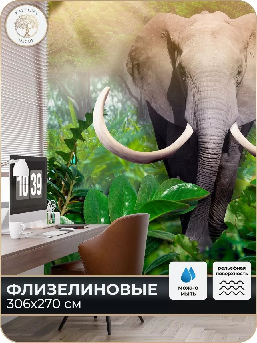 Фотообои Слон в детскую в спальню на кухню 300х270