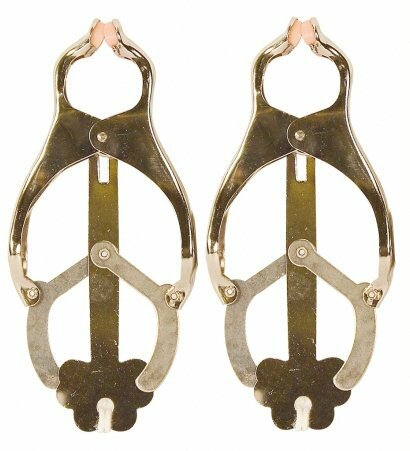 Зажимы для сосков Le Desir металлические с регулируемой силой сжатия и вибрацией цвет серебро