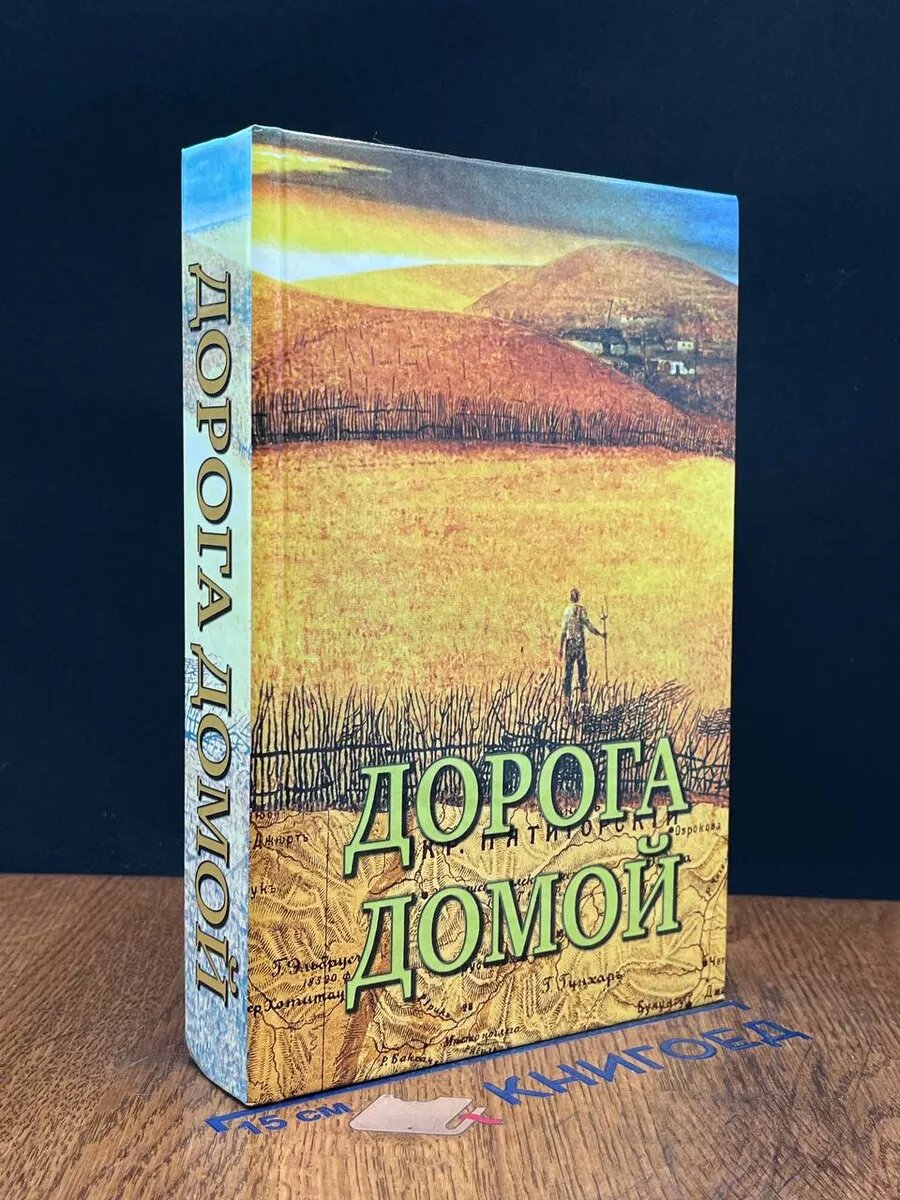 Книга. Дорога домой 2011 (2040770863106)