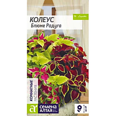 Семена Алтая Колеус Блюме "Радуга"на улице-однолетник, в комнате- многолетник, смесь окрасок, 0,03г.