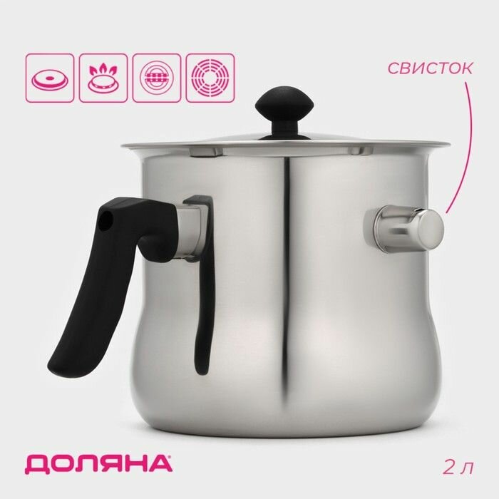 Молоковарка Доляна из нержавеющей стали, 2 л, H 15 см, D 16,5 см