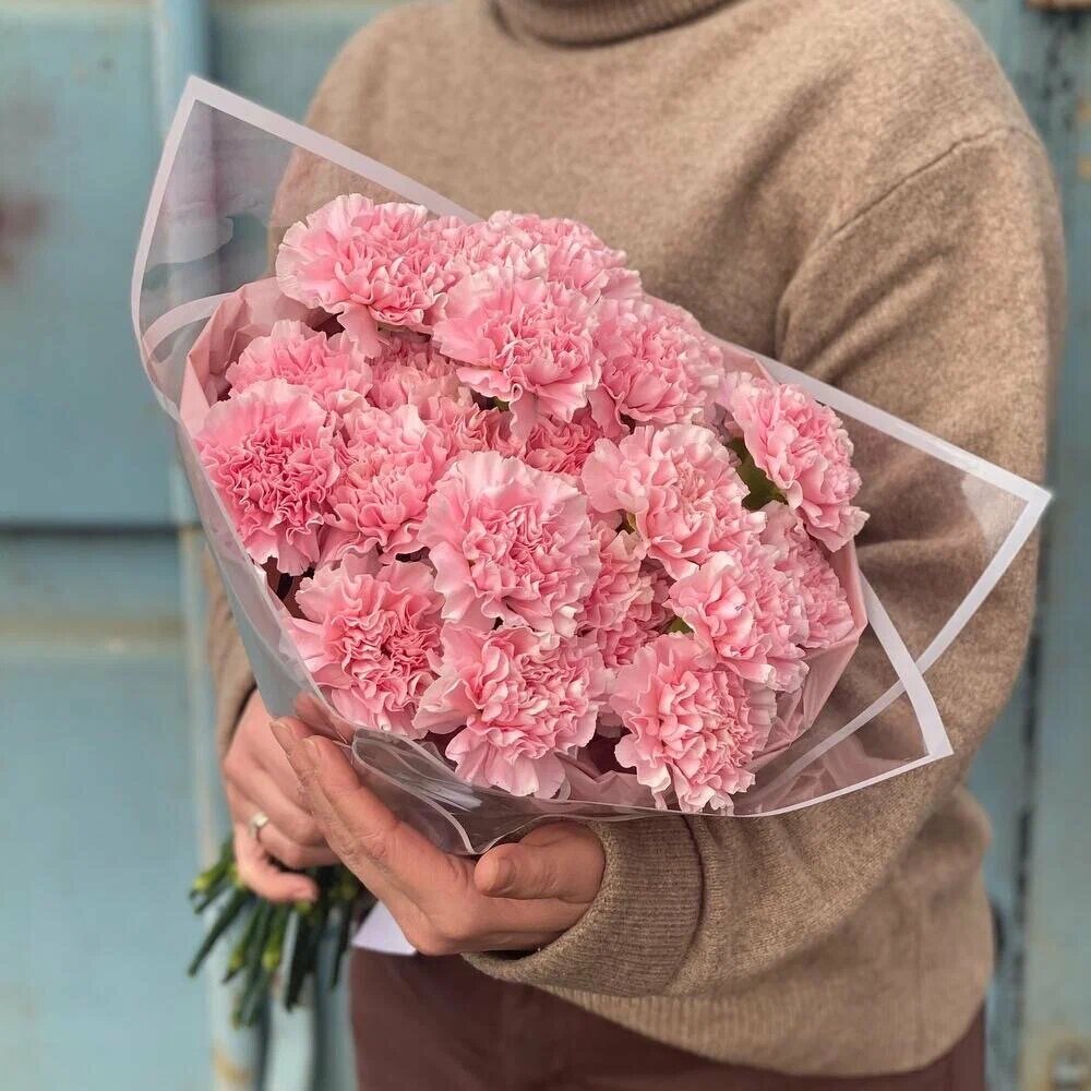 Букет розовых гвоздик 17 штук / Гвоздика розовая/ Доставка цветов по Москве