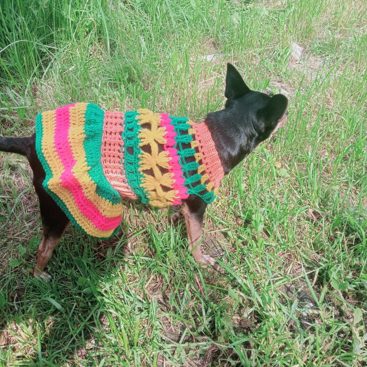 Одежда для собак. платье для собак