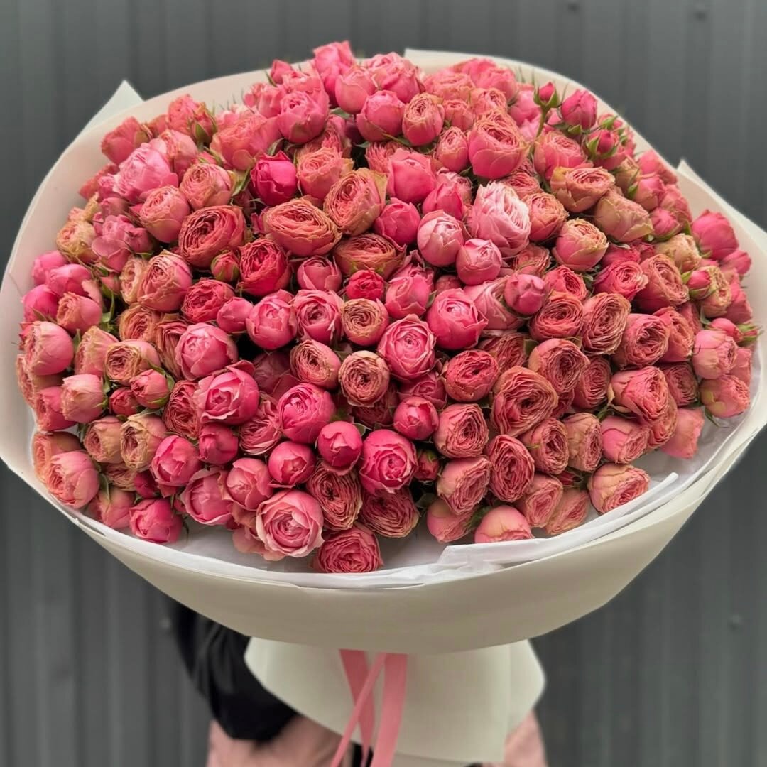 Букет из розовых кустовых пионовидных роз 101 шт, красивый букет цветов, шикарный, премиум цветы, премиум букет
