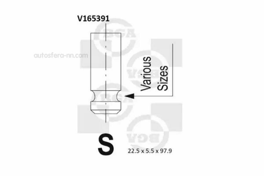 BGA V165391 Клапан выпускной