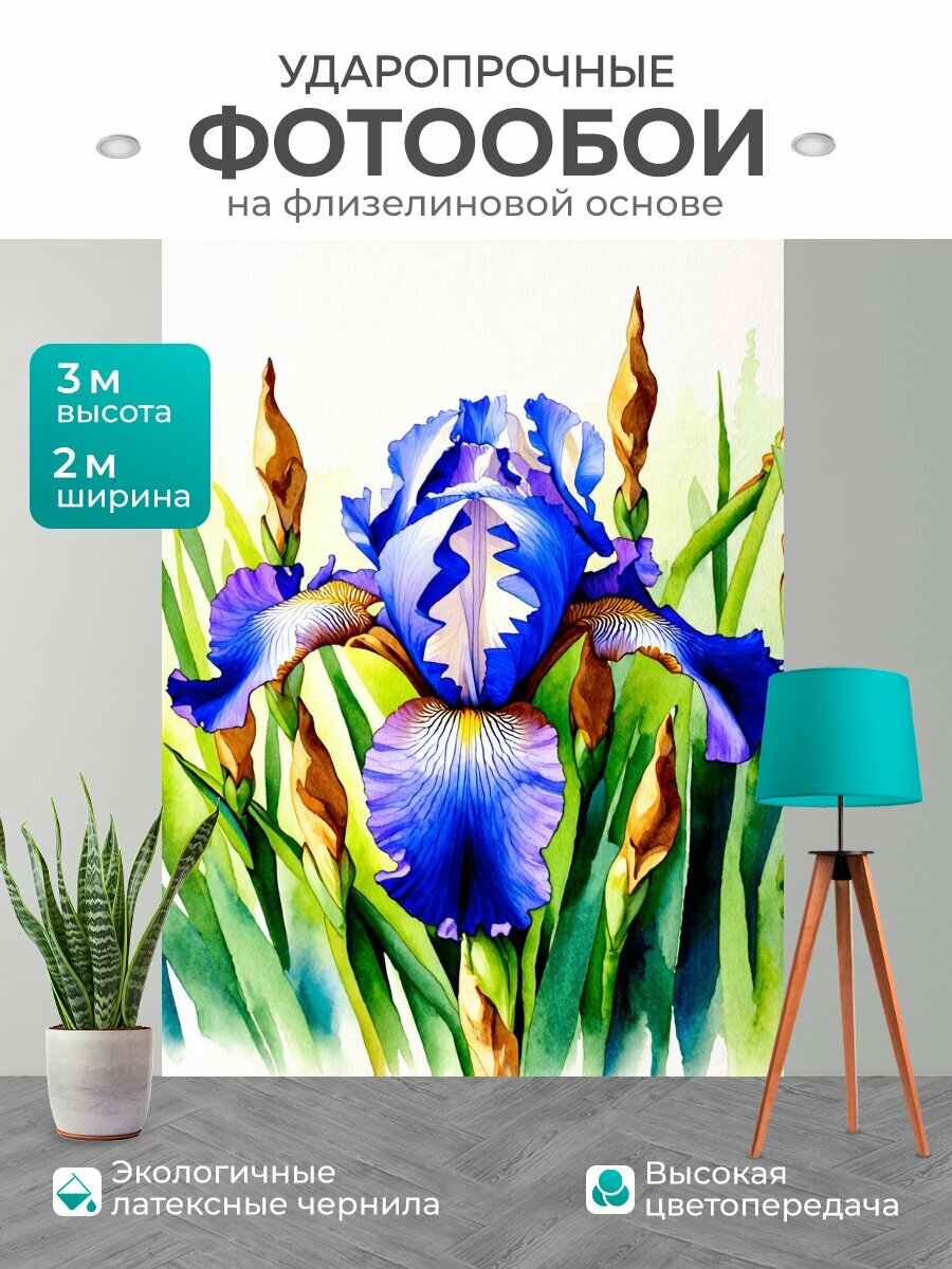 Фотообои моющиеся ударопрочные "Ирис в эстетике восточной живописи, акварельные оттенки, традиционные элементы и узоры" 200x300 см. флизелиновые на стену